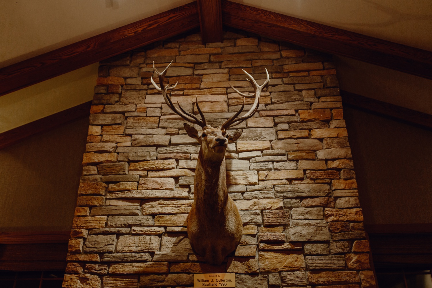 MAX-MCGRAW-WILDLIFE-FOUNDATION-WEDDING-BY-MEGAN-SAUL-PHOTOGRAPHY_1261 ...