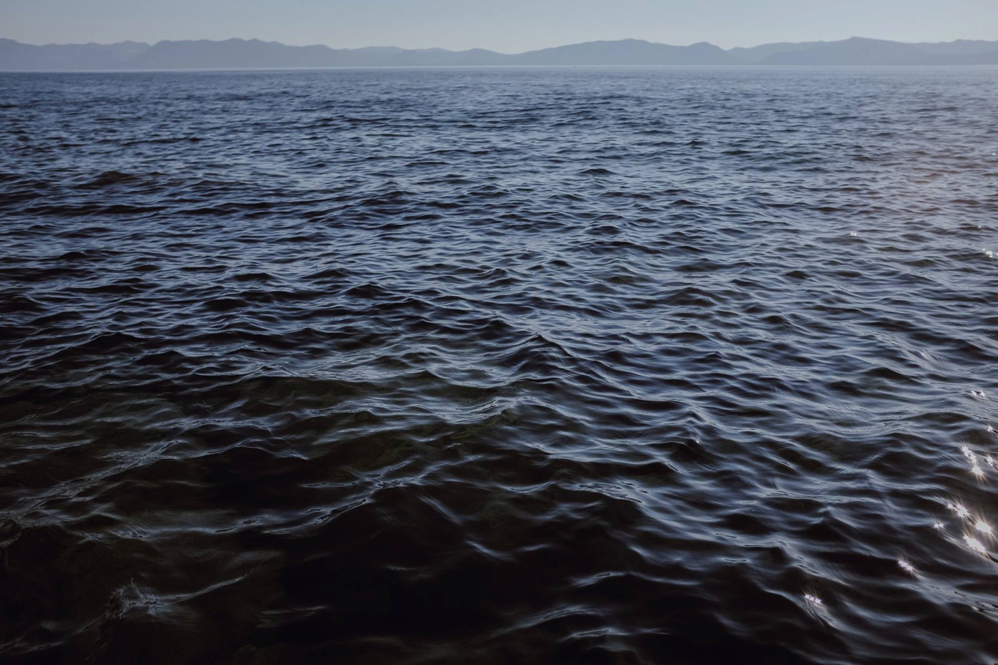 Best-Wedding-Photographer-2015-and-2016-Photography-By-Megan-Saul ...